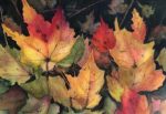 Award Winners Gallery - Wellesley Society of Artists